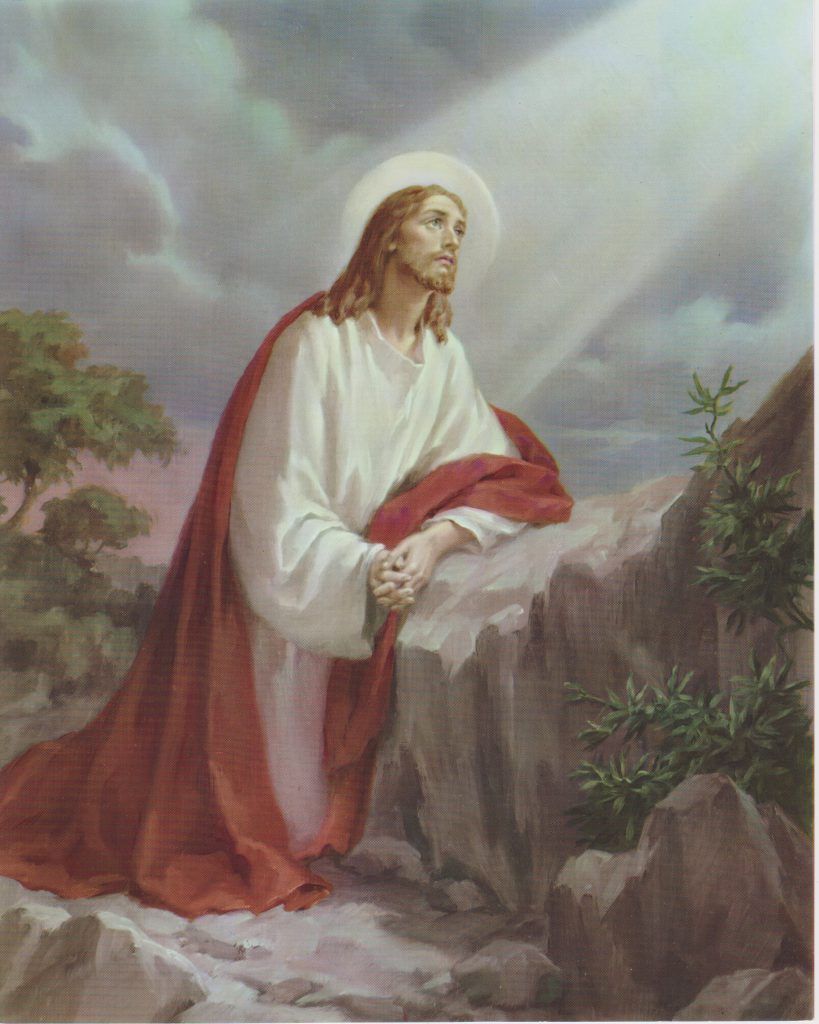 Prayer / Agony in the Garden - The Life of Jesus